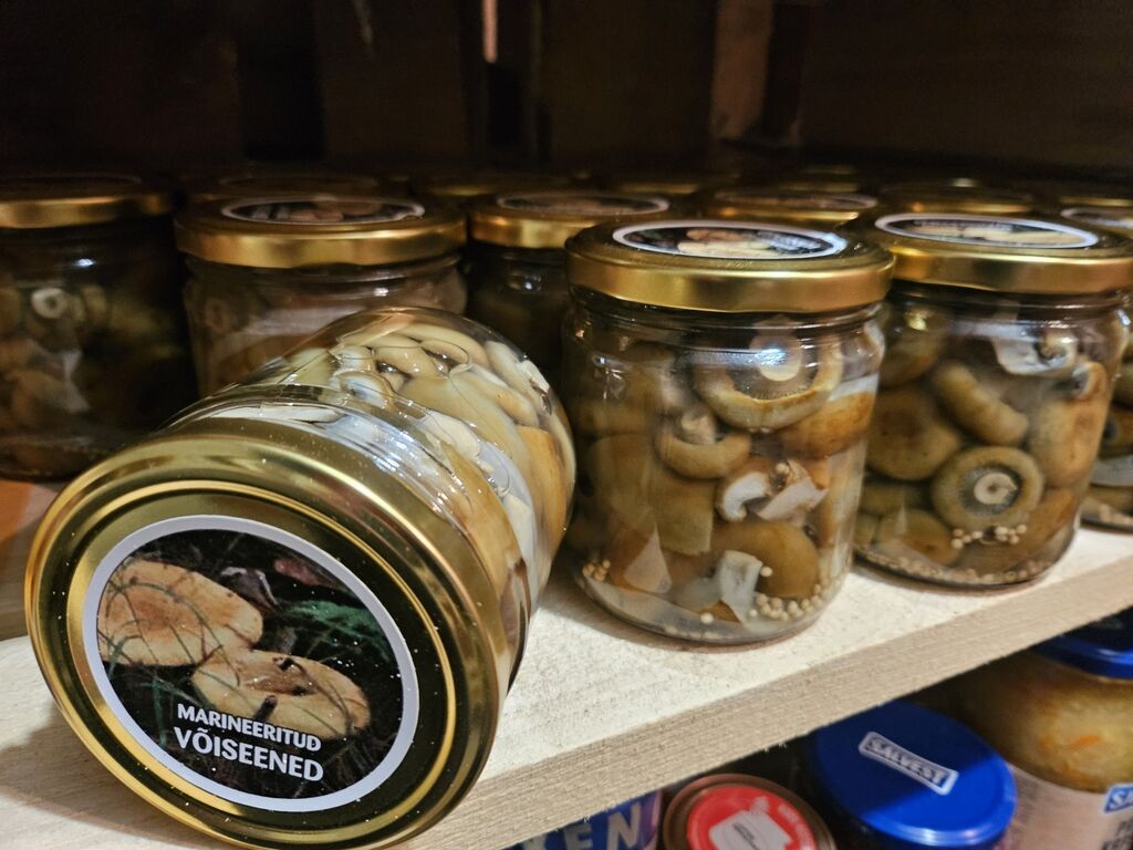 MARINEERITUD SEENED - SOOV.ee