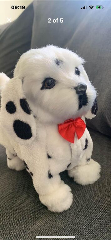 Interaktiivne haukuv koer - Soov.ee