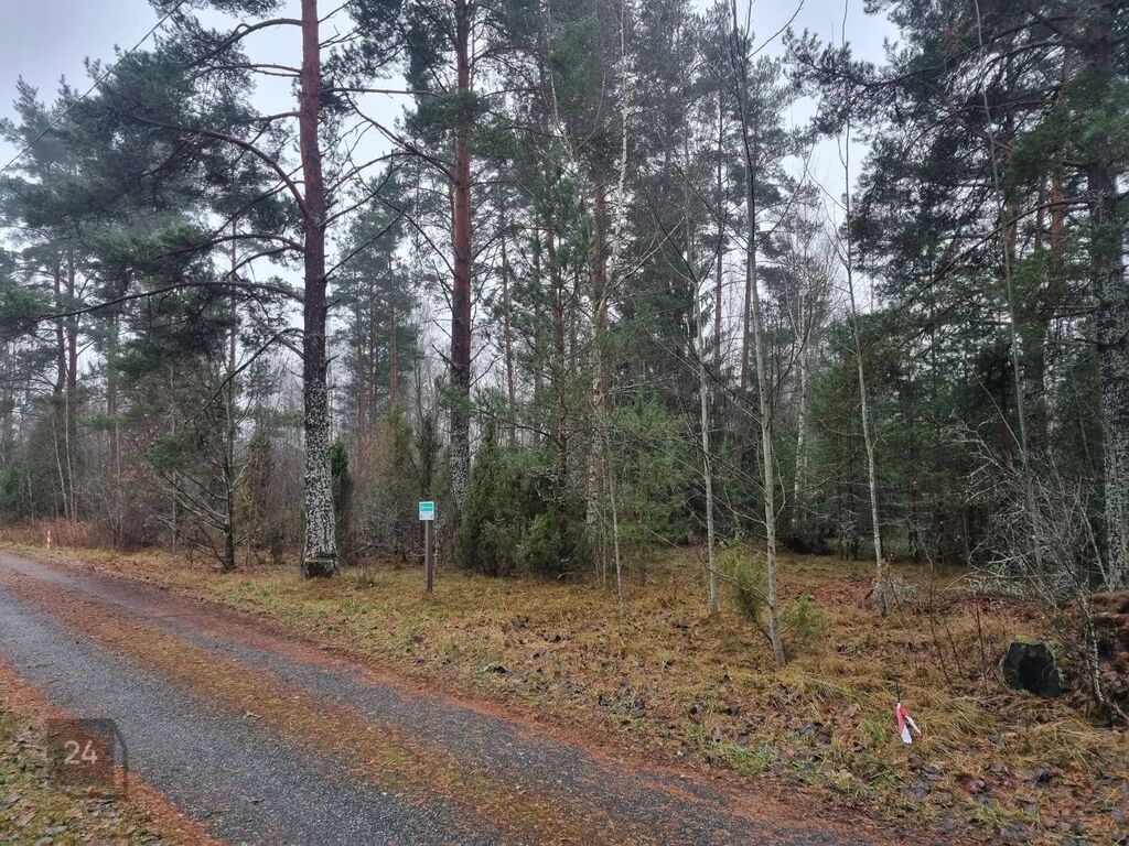 Alajõe jõega piirnev elamumaa kinnistu! - SOOV.ee