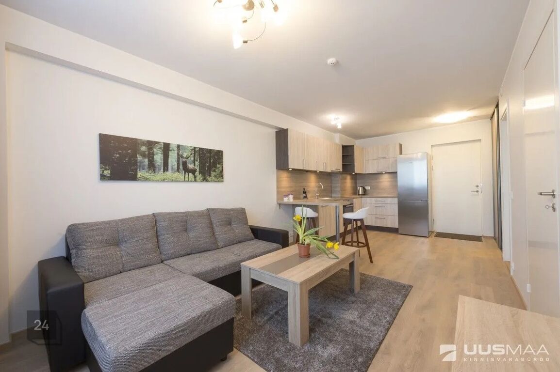 Ilus 2-toaline korter Vega arenduses! - SOOV.ee