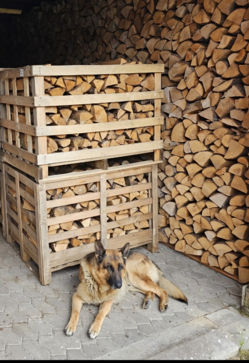 KUIVAD KÜTTEPUUD - MUST LEPP, SANGLEPP, KASK - Soov.ee